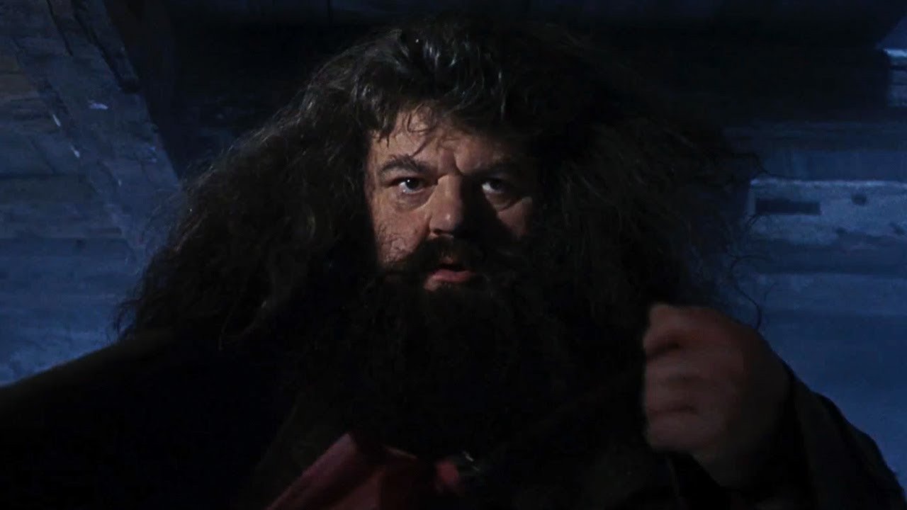 Έφυγε από τη ζωή ο ηθοποιός Robbie Coltrane, ο Hagrid των ταινιών Harry ...